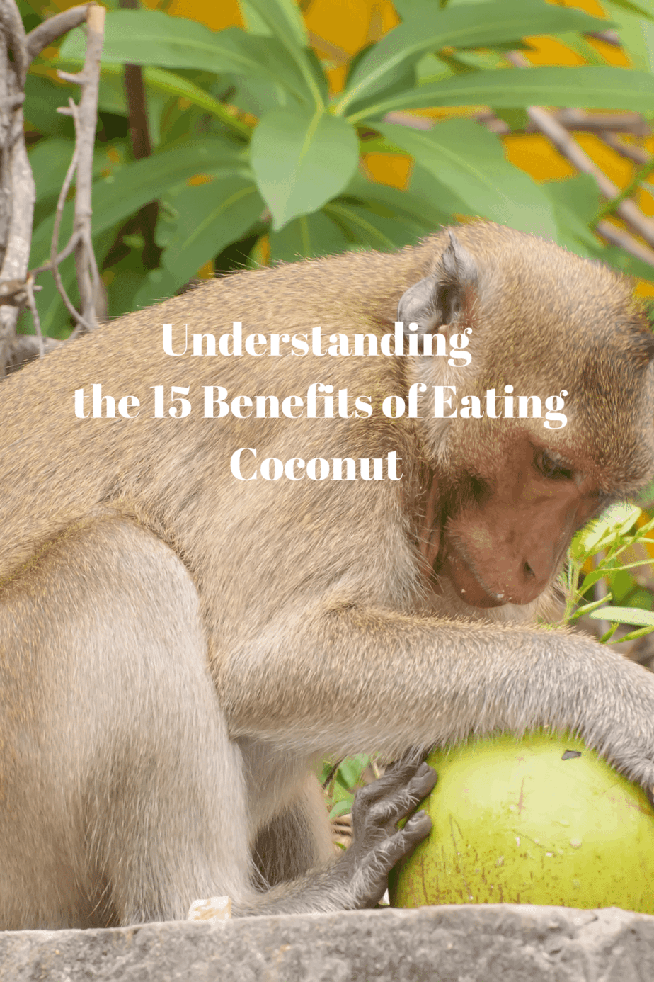 Understanding the 15 Benefits of Eating Coconut - Fast Life Tips