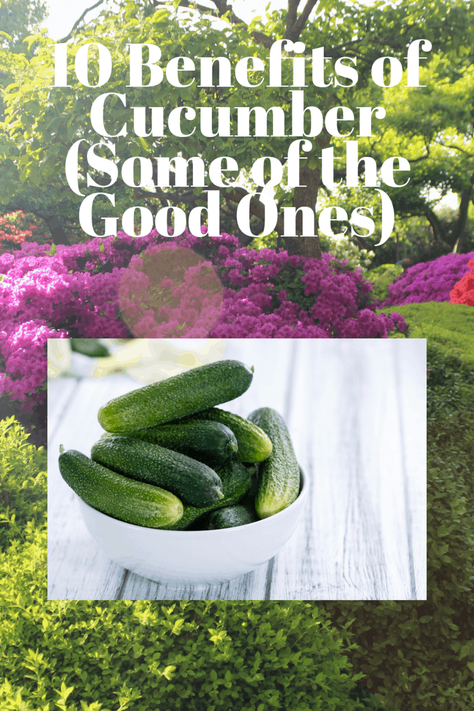 11 Benefits Of Cucumber Some Of The Good Ones Fast Life Tips
